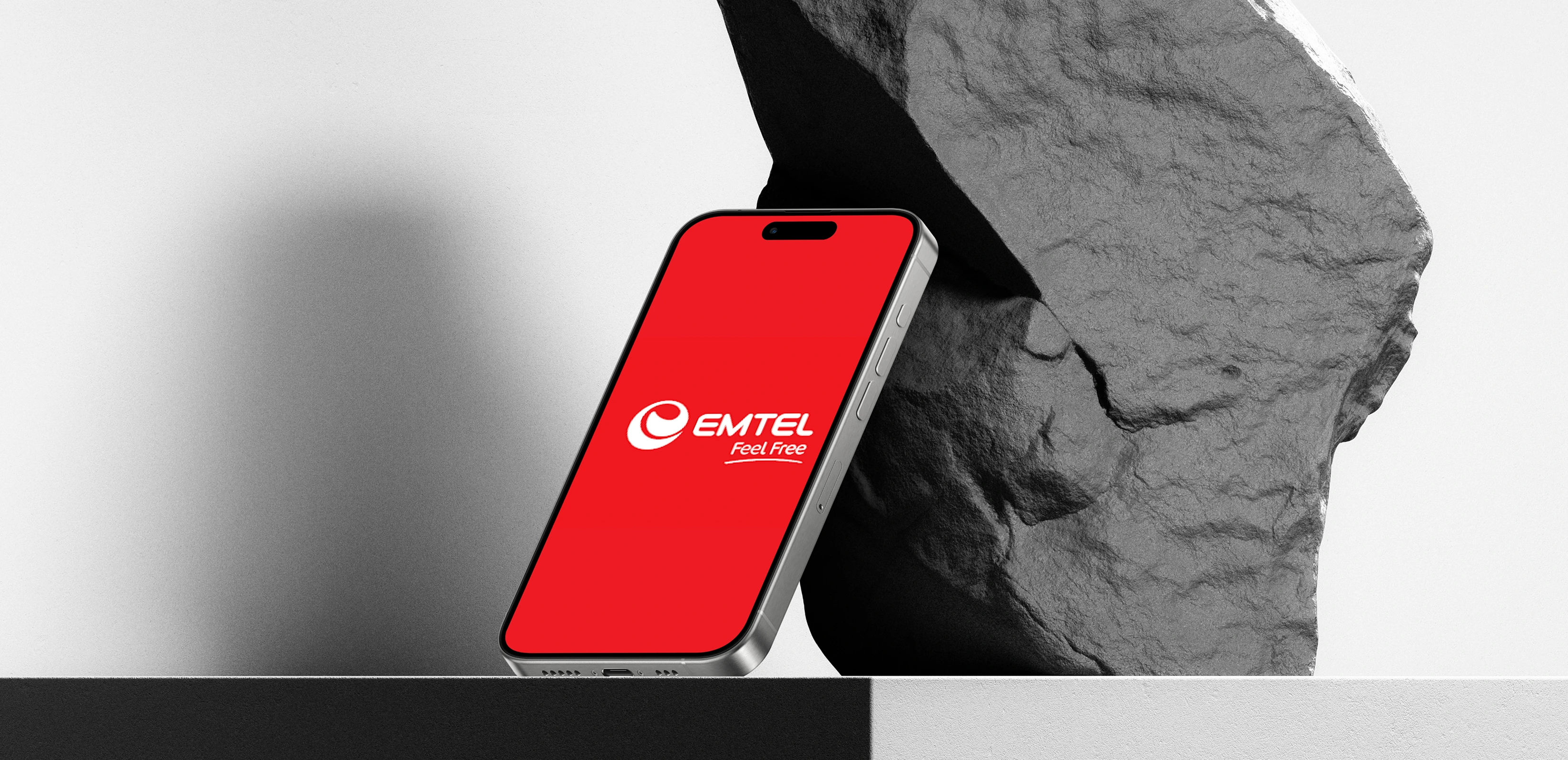 Emtel Case Study - BigOhTech